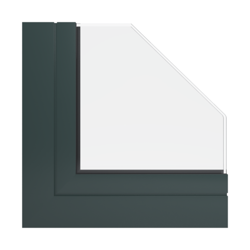 Feneste | Windows | Colors | Aluminum RAL | RAL 6012 Black green